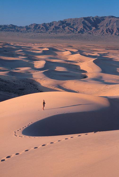 Pustynia pełna życia - Poznaj Świat