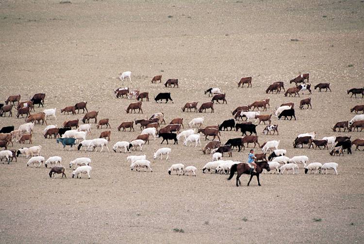Pustynia pełna życia - Poznaj Świat