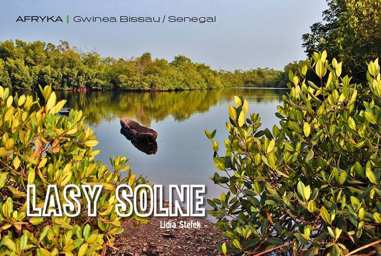 Lasy Solne - Poznaj Świat